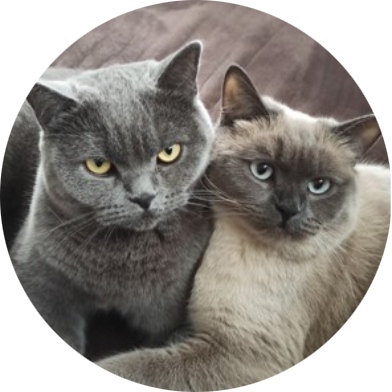 Bonny und Betty | Wonderlink