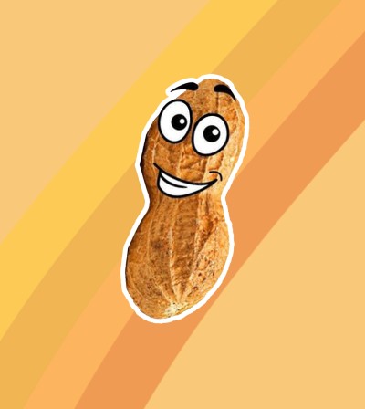 le_erdnuss | Wonderlink