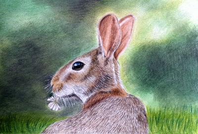 Jay_art | Wonderlink